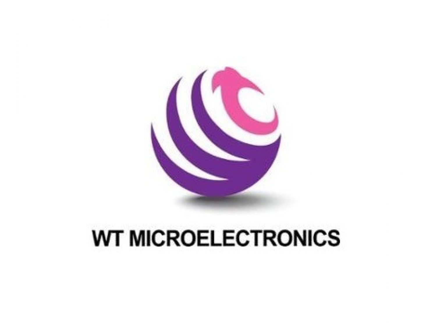 WT Microelectronics Co Ltd - 香港投影