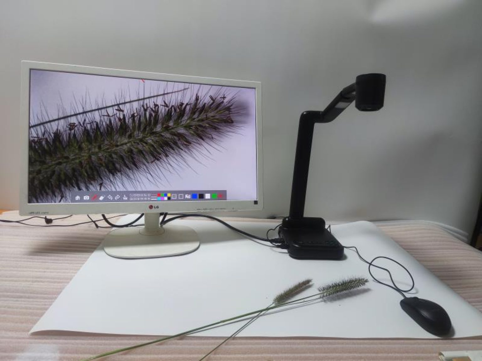 AOV OP-890H 實物投影機-800萬像素 - 香港投影