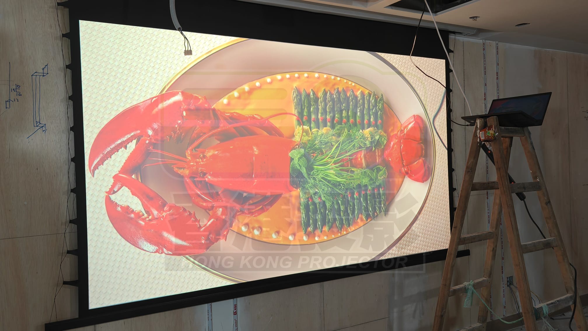 3DS HK Limited - 香港投影